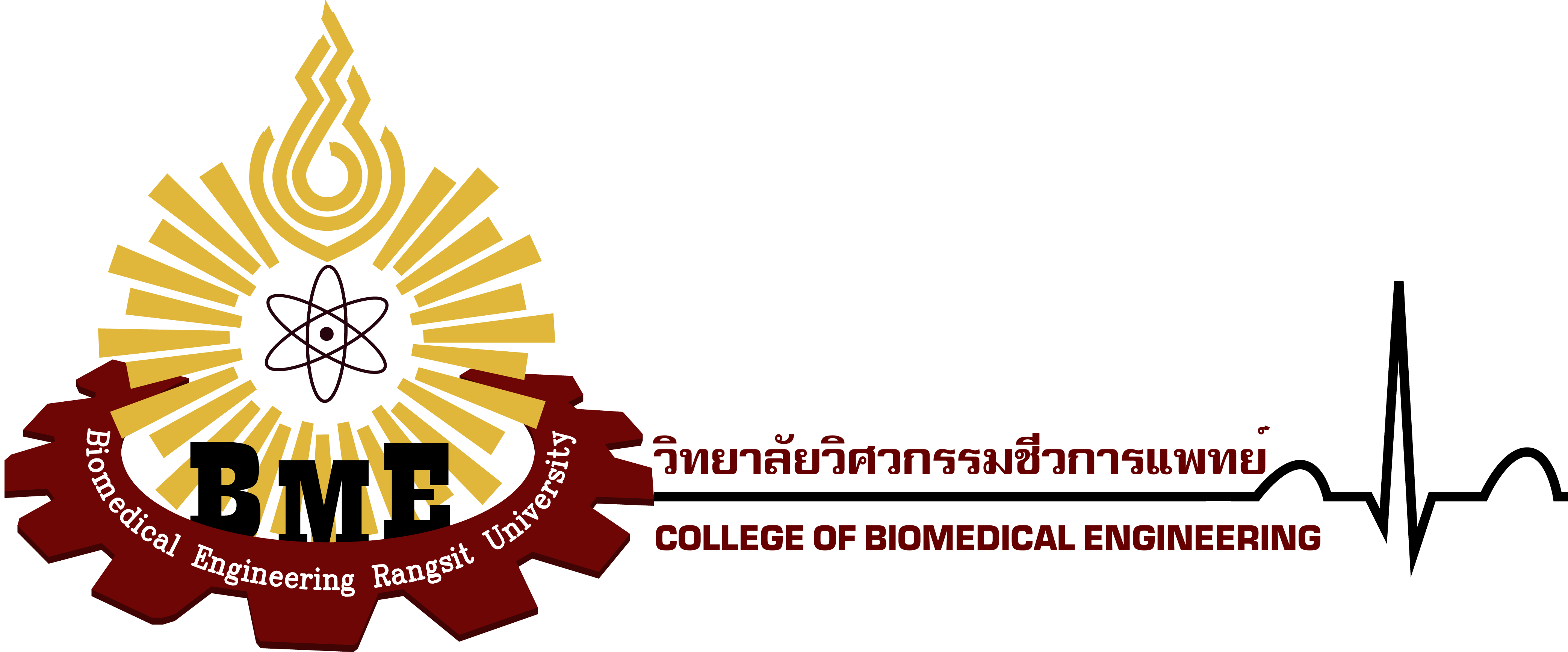 College of Biomedical Engineering